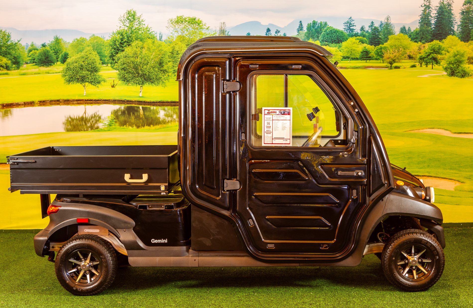 AMC Gemini AMCEG204AHCXR | AMC Golf Carts