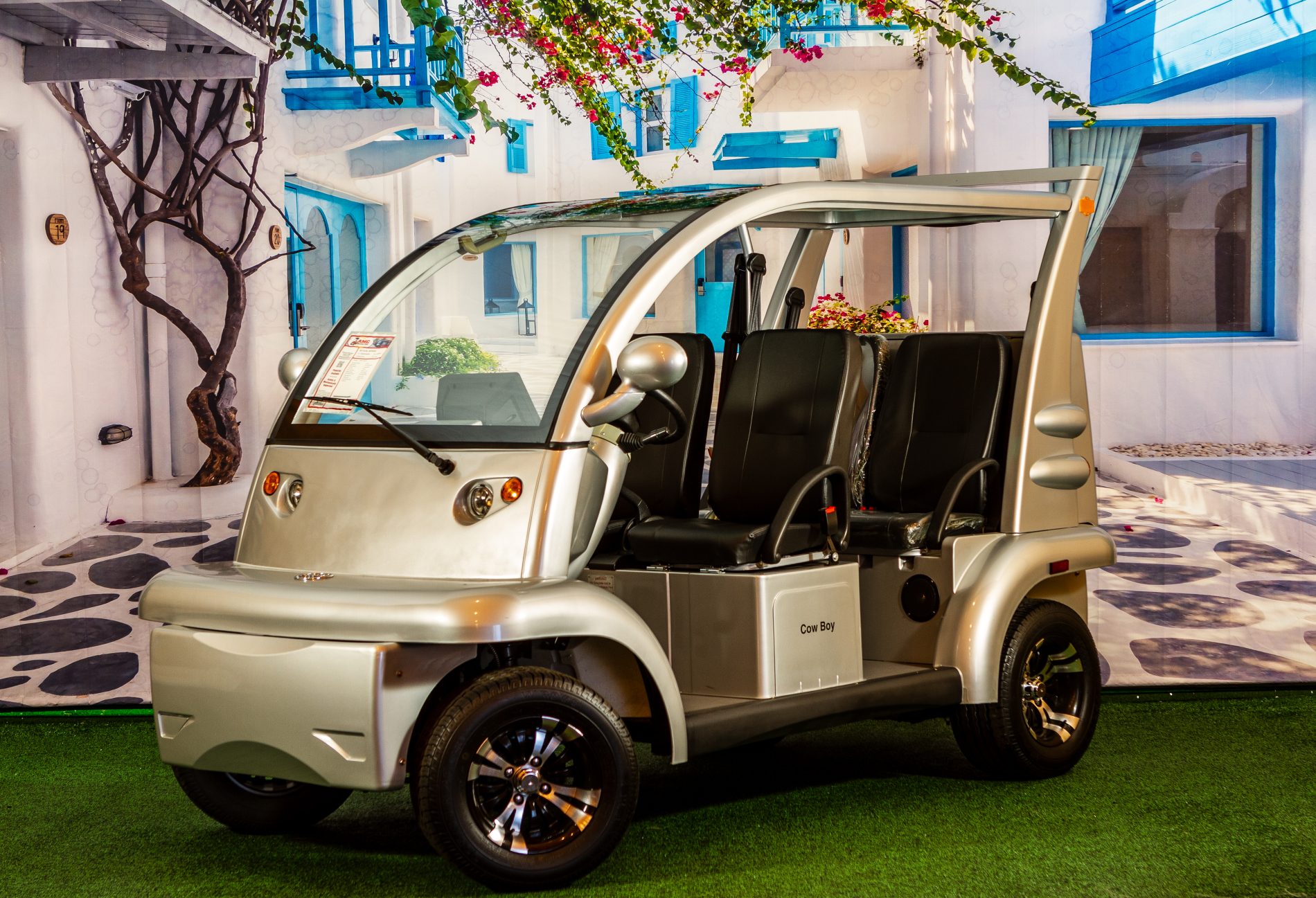 Cow Boy Golf Carts for Sale in Jackson, NJ | AMC Golf Carts
