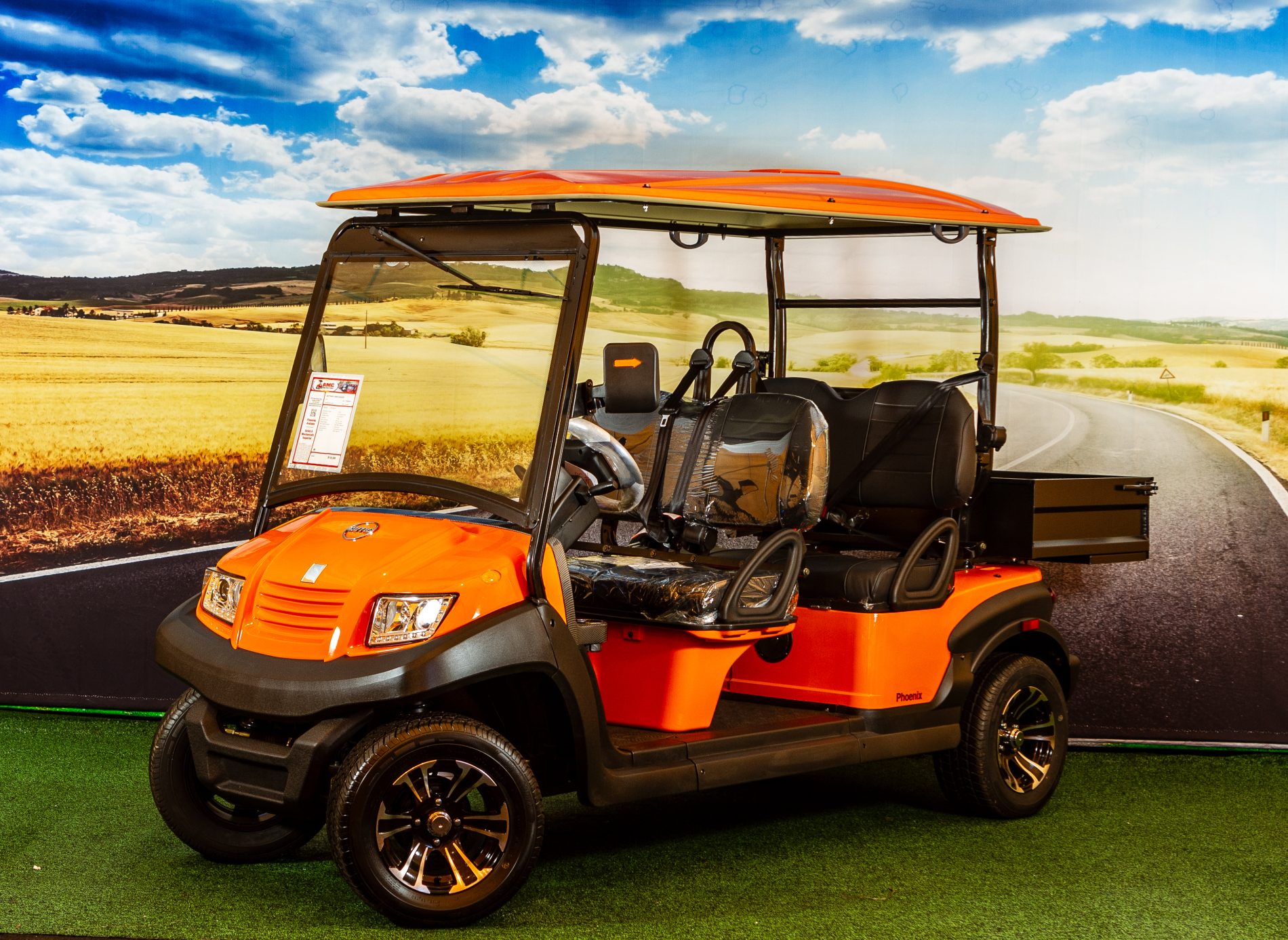 AMC Phoenix AMCEG204AH03 | AMC Golf Carts