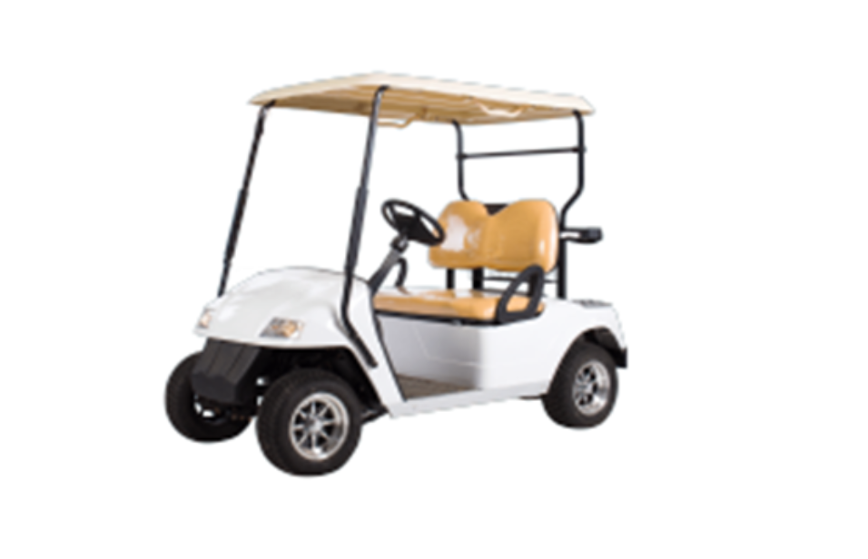 2024 AMC Cocoa AMCEG2028K | AMC Golf Carts
