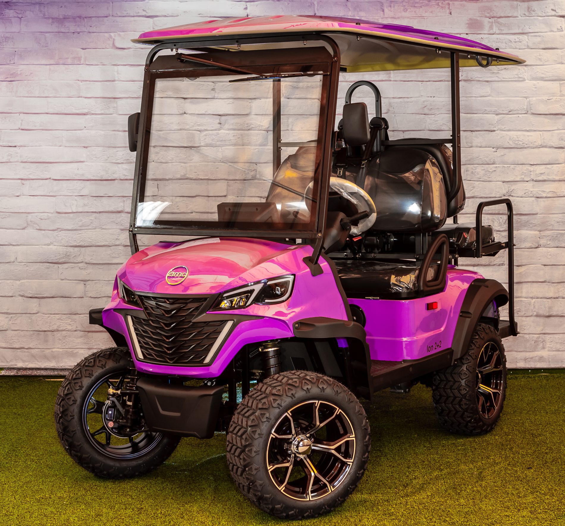 AMC Ion 2+2 AMCEG202DKSZ | AMC Golf Carts