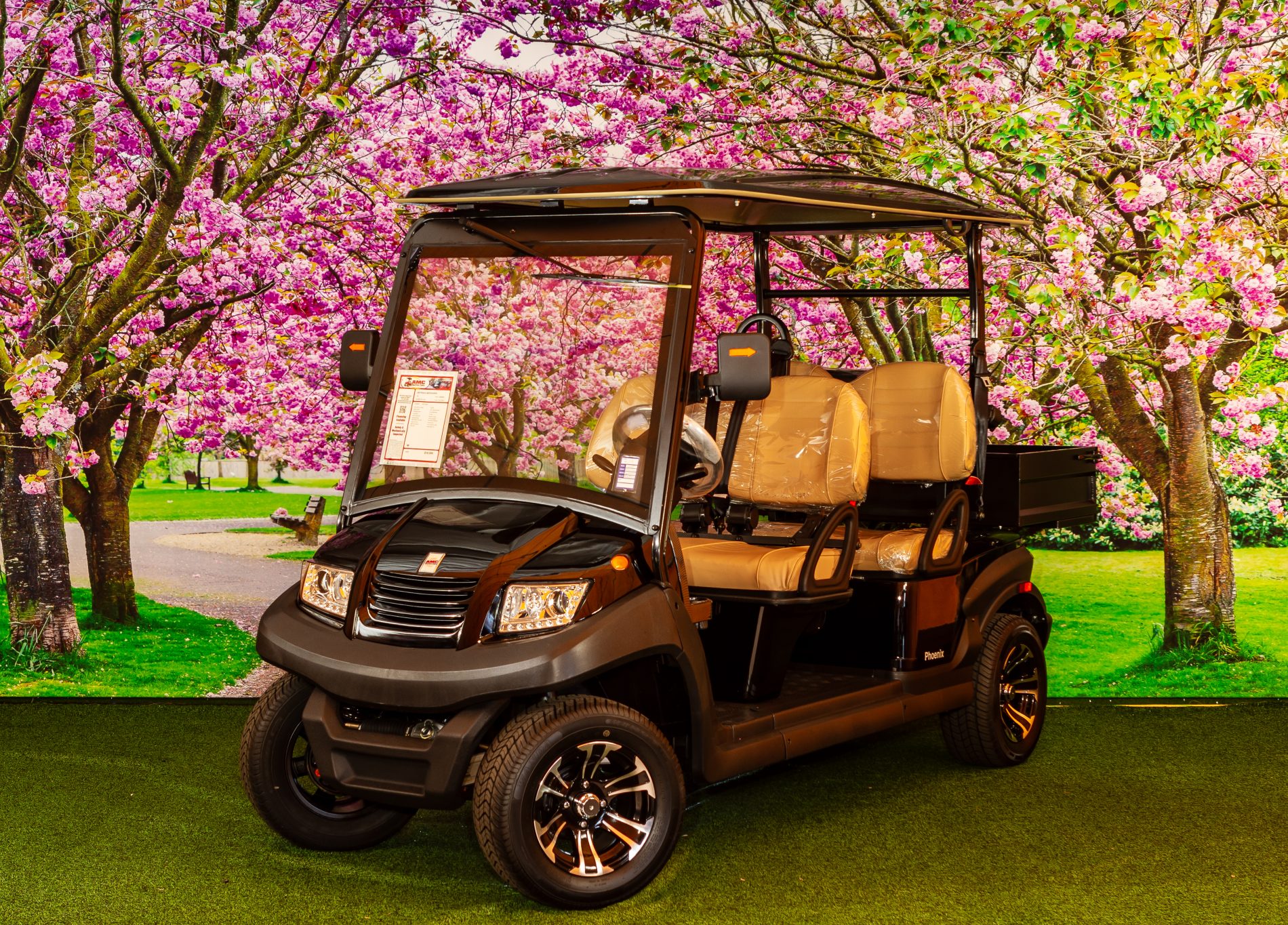 AMC Phoenix AMCEG204AH03 | AMC Golf Carts