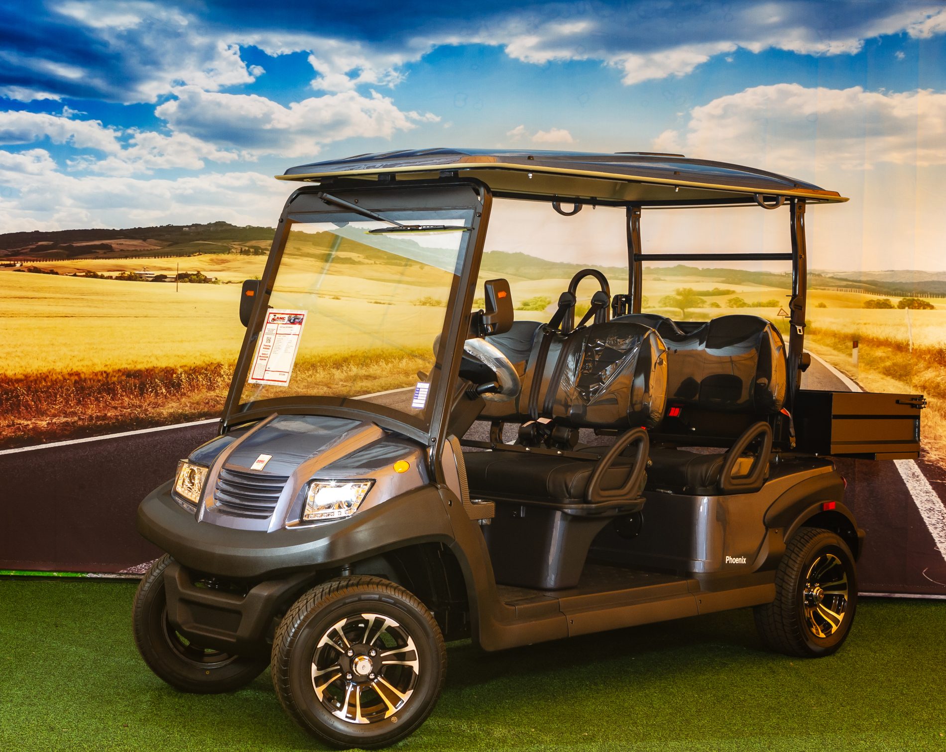 AMC Phoenix AMCEG204AH03 | AMC Golf Carts