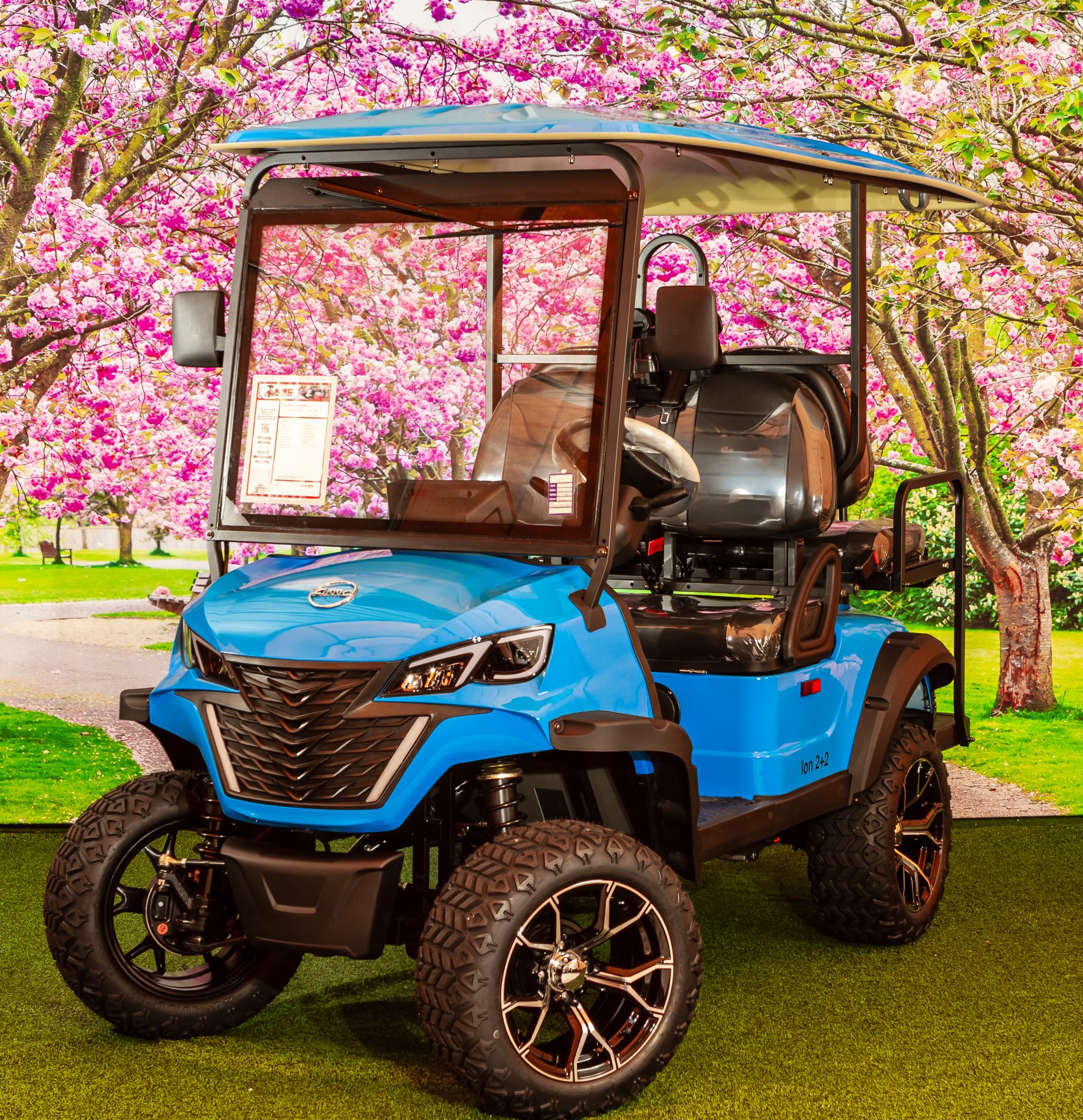 AMC Ion 2+2 AMCEG202DKSZ | AMC Golf Carts