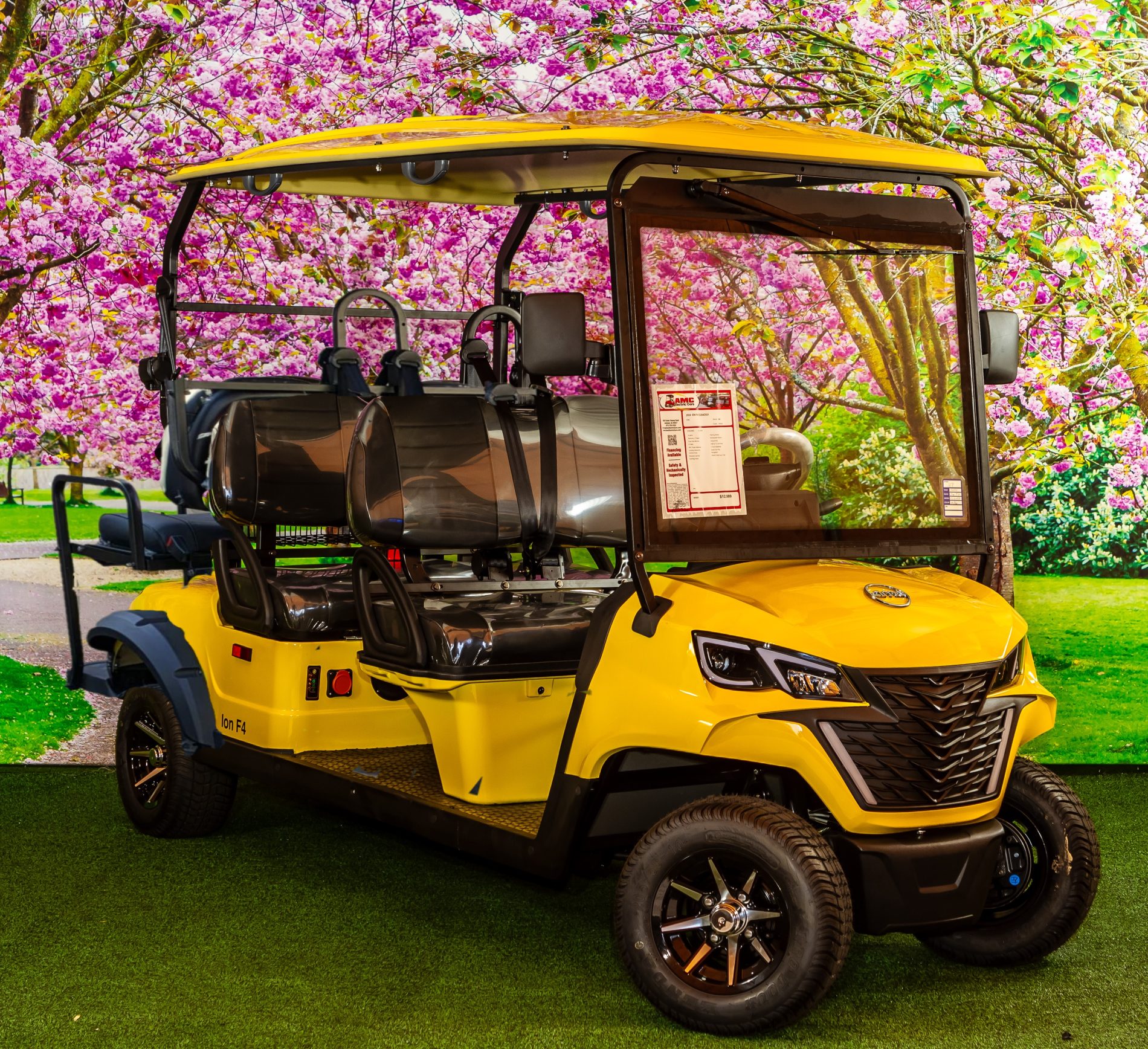 AMC Ion 4+2 AMCEG2040KSZ | AMC Golf Carts